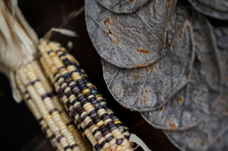El taller de productos mexicanos que fabrica tortillas de maíz de Maíz ...