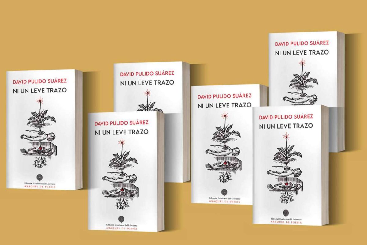 El poeta canario David Pulido sorprende con su nuevo libro ‘Ni un leve ...