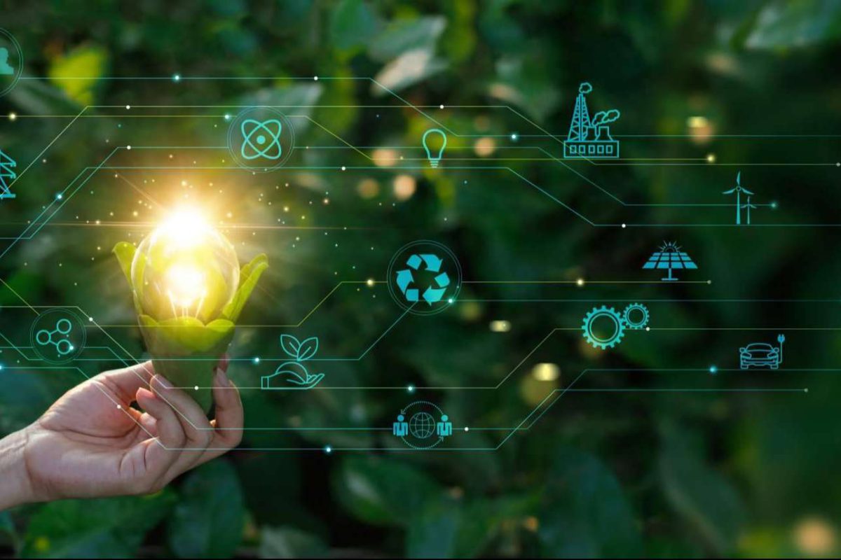 ¿Cómo alcanzar el crecimiento sostenible de un negocio con Grownow nG ...
