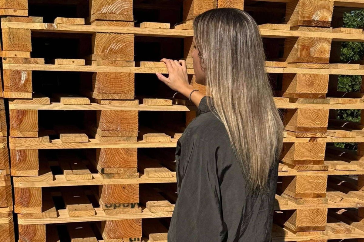 De aserradero familiar a líder en innovación; La fascinante historia de ...